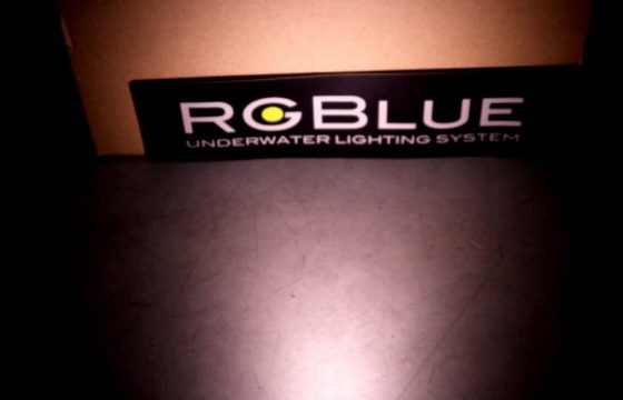 RGBLUE SYSTEM 02 PREMIUM COLOR – スキューバプロショップ横浜